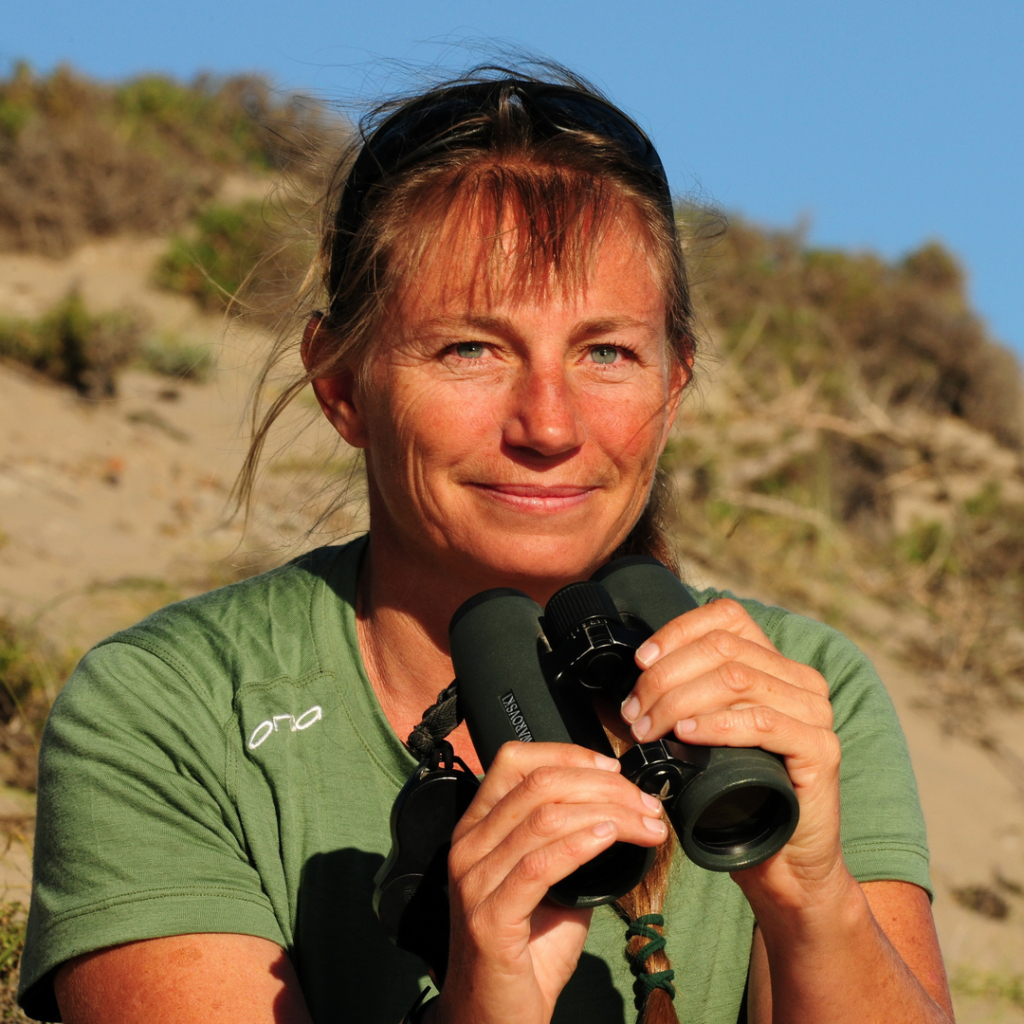 Support Dr Visser through Patreon - Orca Research Trust